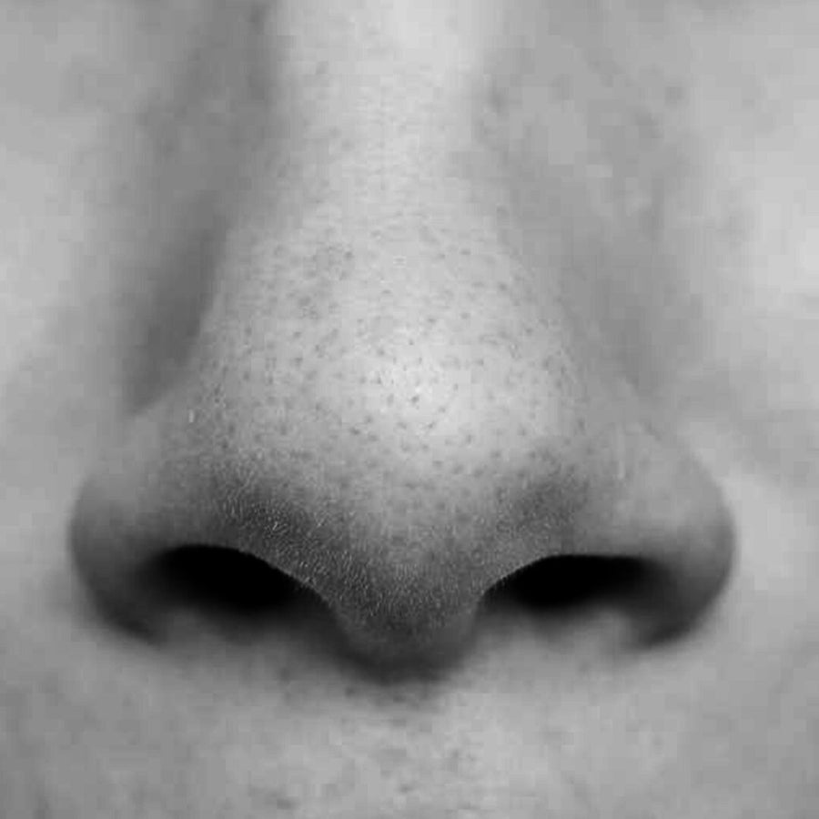 Let’s talk about… olfactory fatigue – Edinburgh Whisky Academy